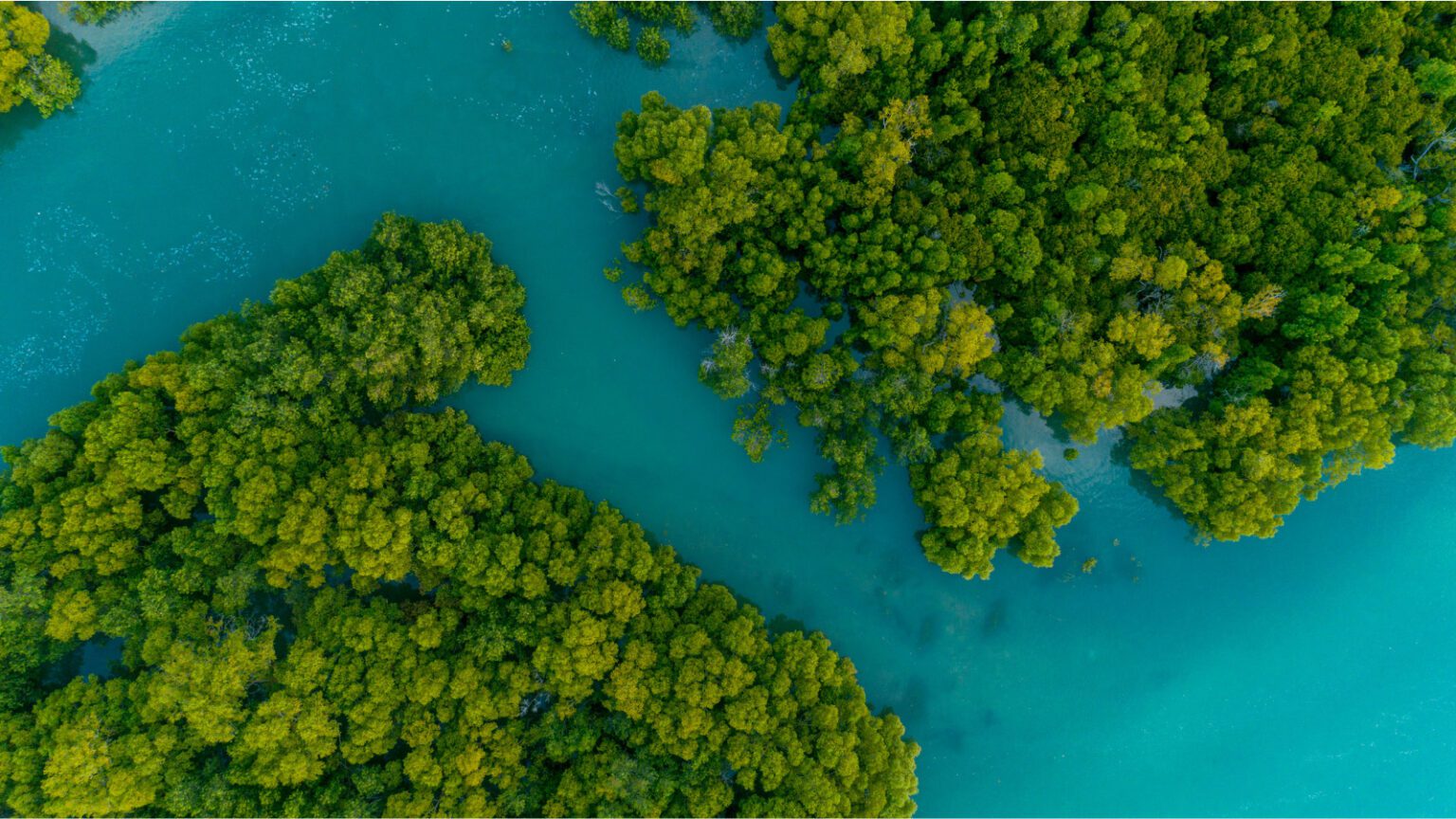Environmental Funders Network – The funding community for the planet