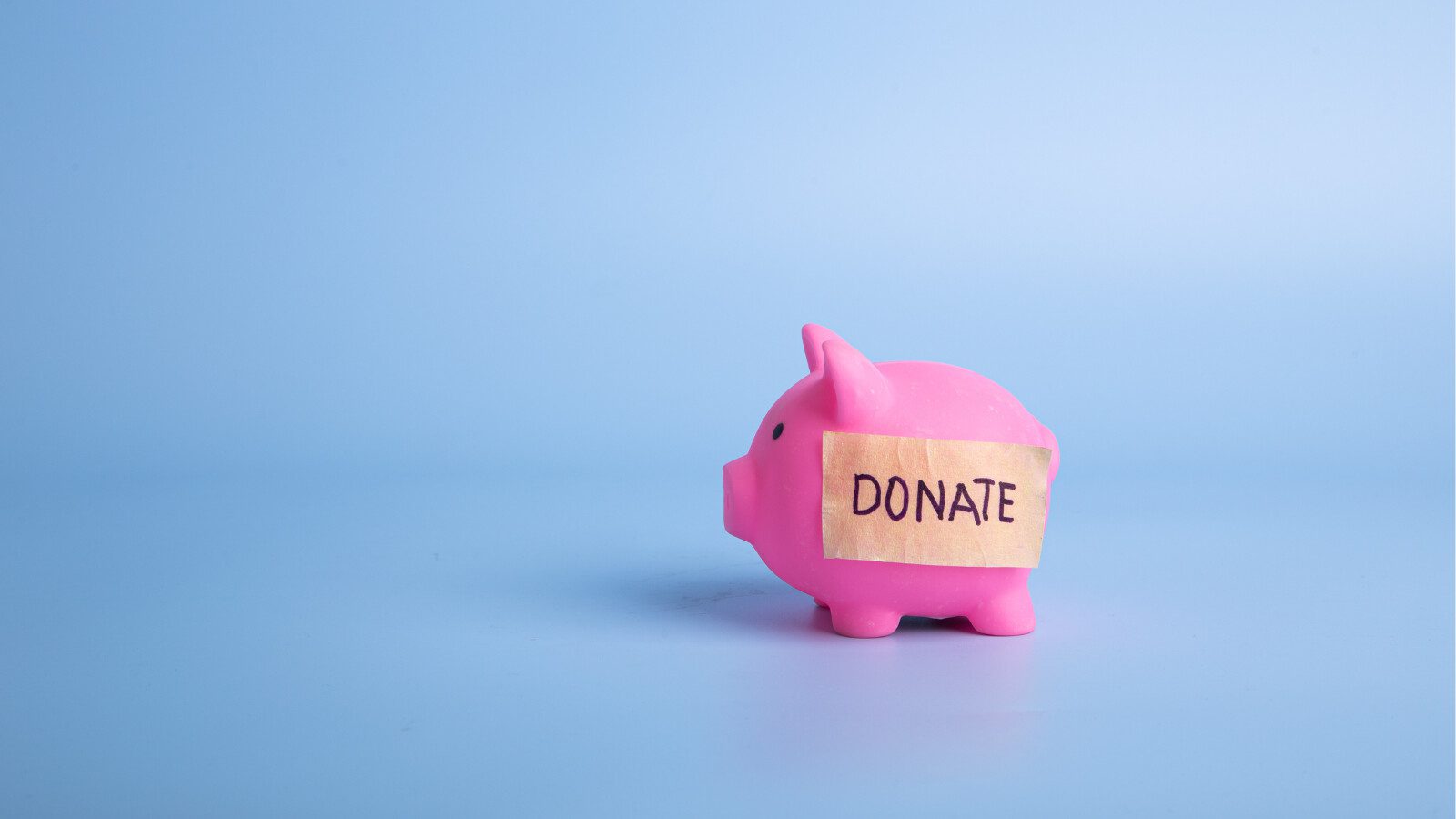 Resources for environmental fundraisers – Environmental Funders Network